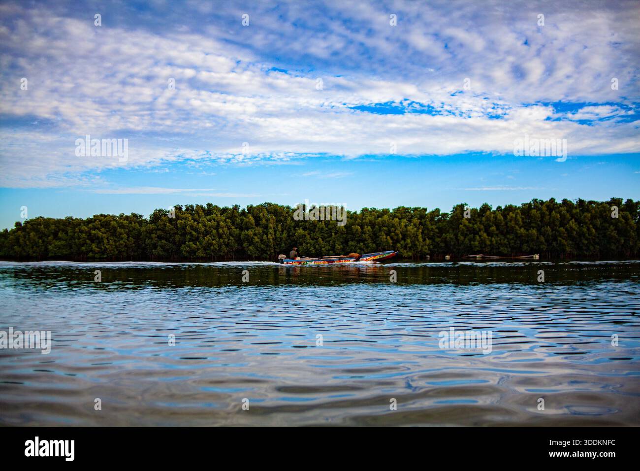 Boat trip on the Sine-Saloum River among baobabs, mangroves, pelicans ...