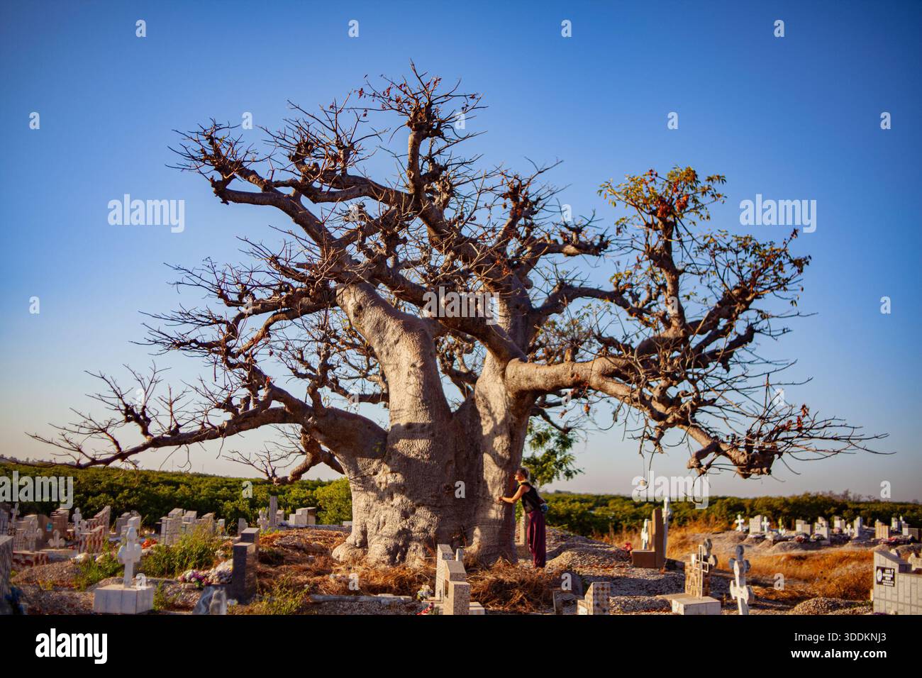 A Catholic-Muslim church, also built on shells and the inevitable ...