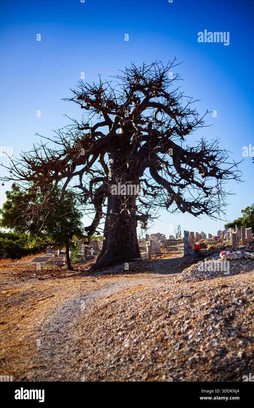A Catholic-Muslim church, also built on shells and the inevitable ...