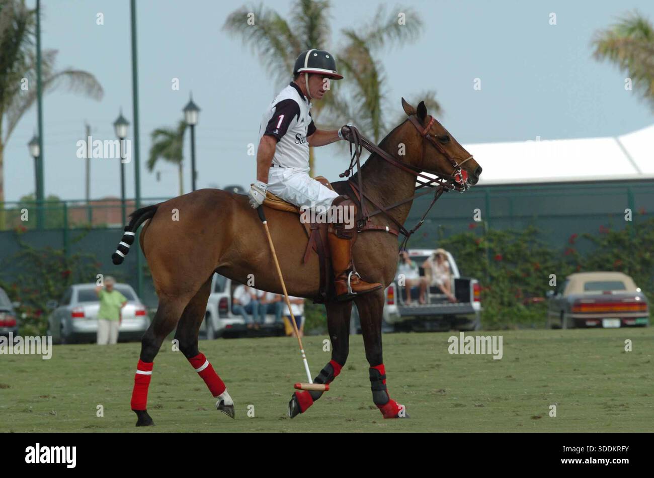 WELLINGTON, FL - MARCH 04, 2006: Oscar winner Tommy Lee, at the ...