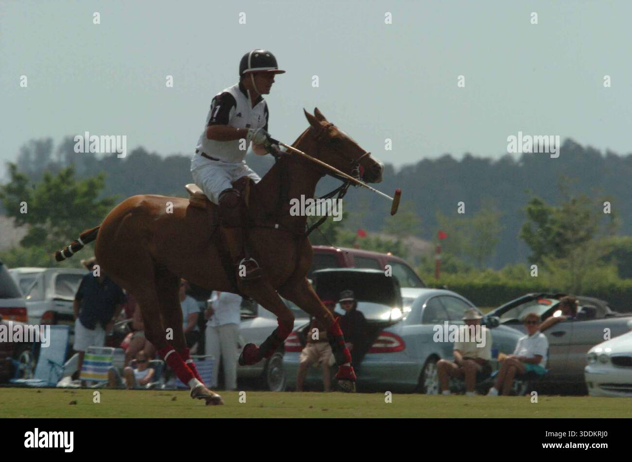 WELLINGTON, FL - MARCH 04, 2006: Oscar winner Tommy Lee, at the ...