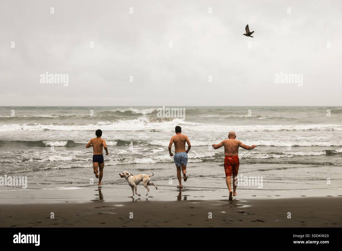 From left, Evan George, Mehmet Bilginsoy and Chad Jepperson run into ...