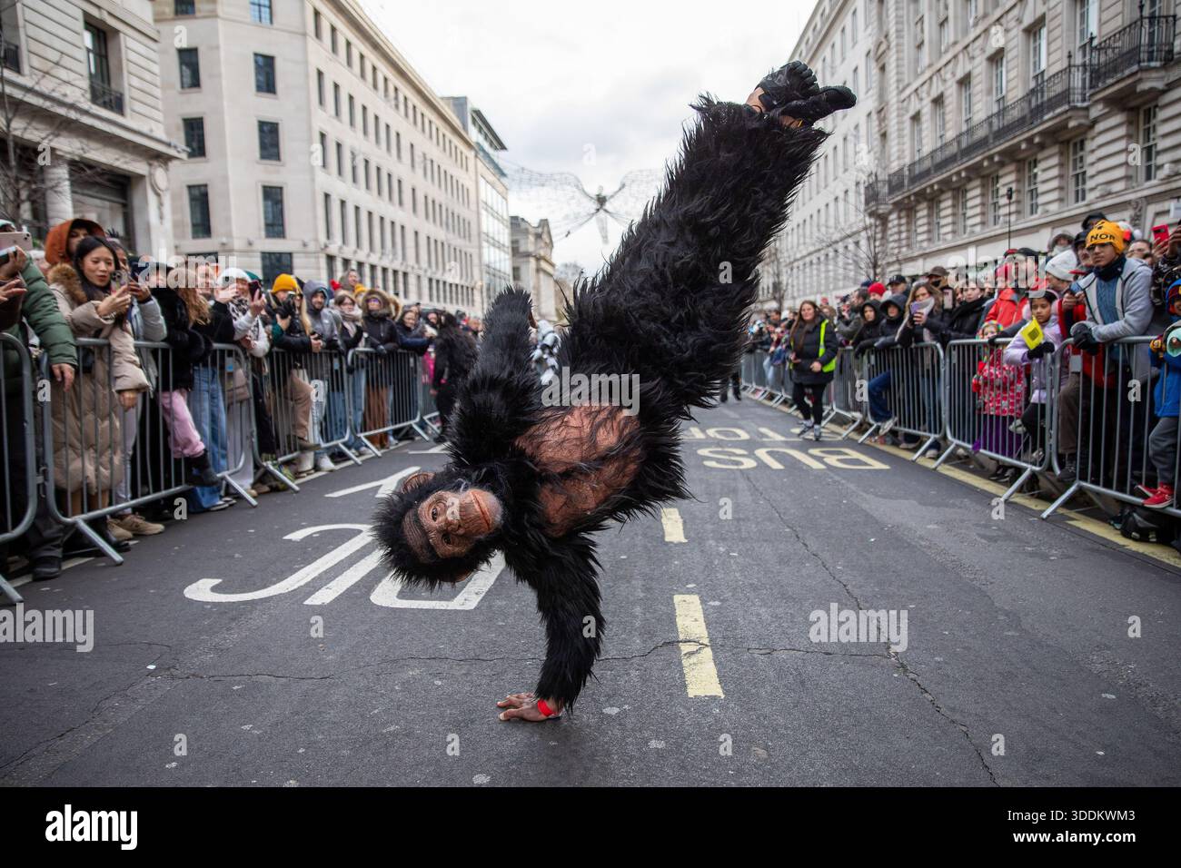 An acrobat dressed in a monkey costume performs during the New Year's ...