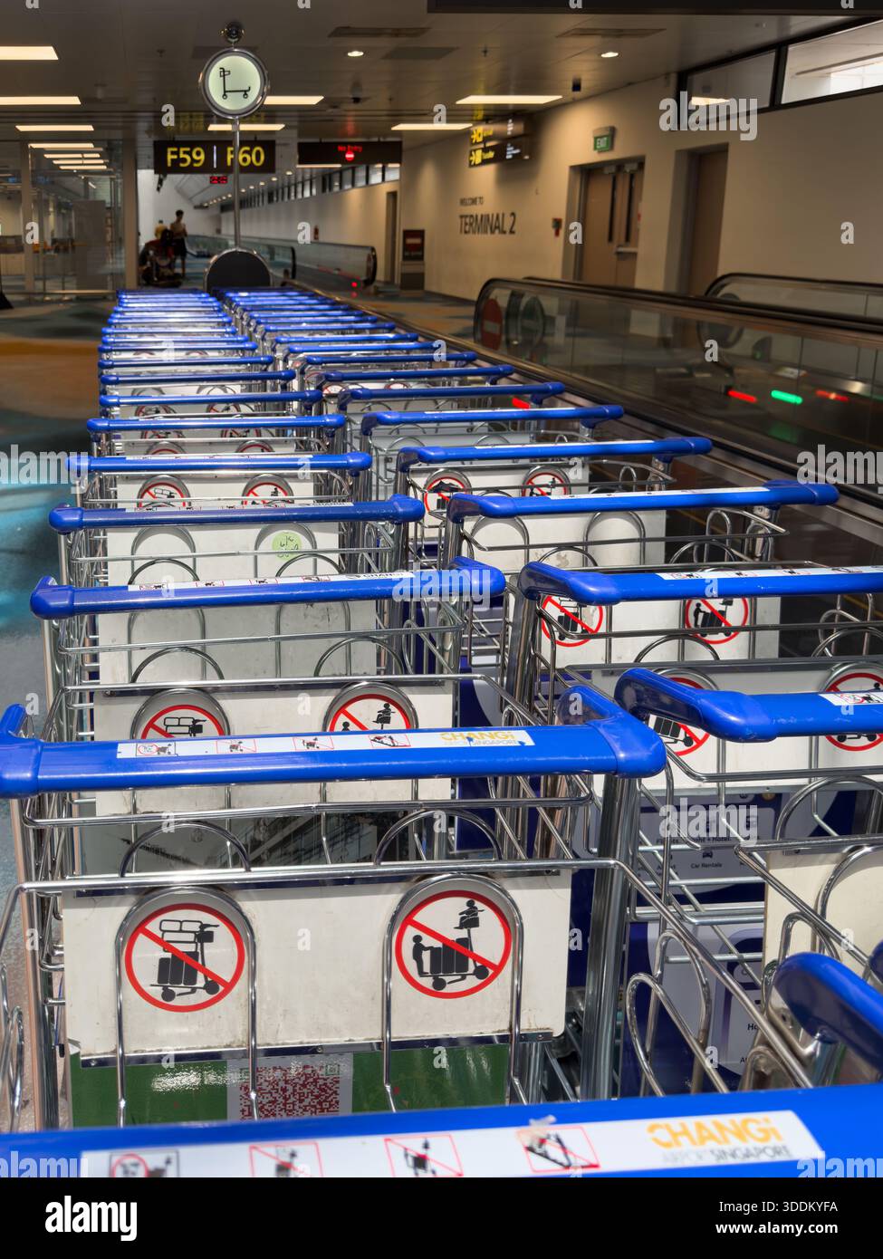 multiple luggage carts are arranged in rows at CHANGI AIRPORT TERMINAL ...