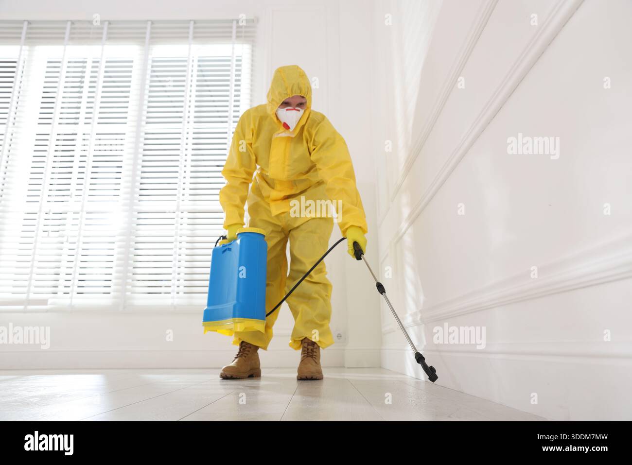 Pest control worker in protective suit spraying insecticide indoors ...