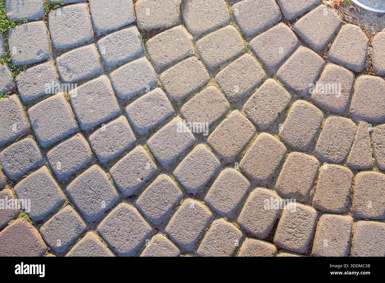 Curved cobblestone pavement pattern with square stones forming ...