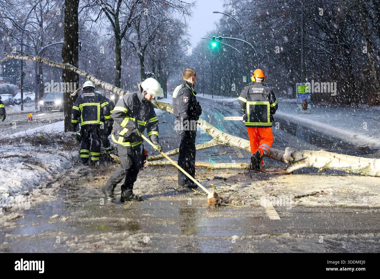 02 January 2026, Hamburg: Emergency services clear a large tree from ...