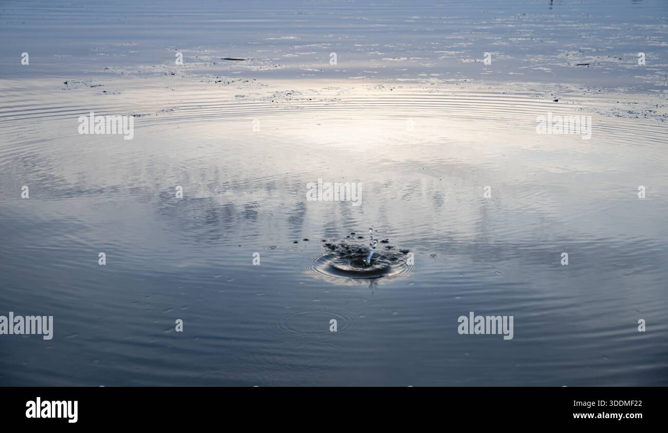Rain drops creating circular ripples on calm water surface minimal ...