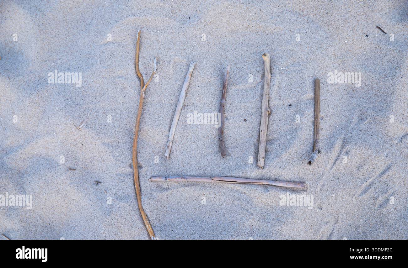 Wooden sticks arranged on smooth sand forming minimal abstract natural ...
