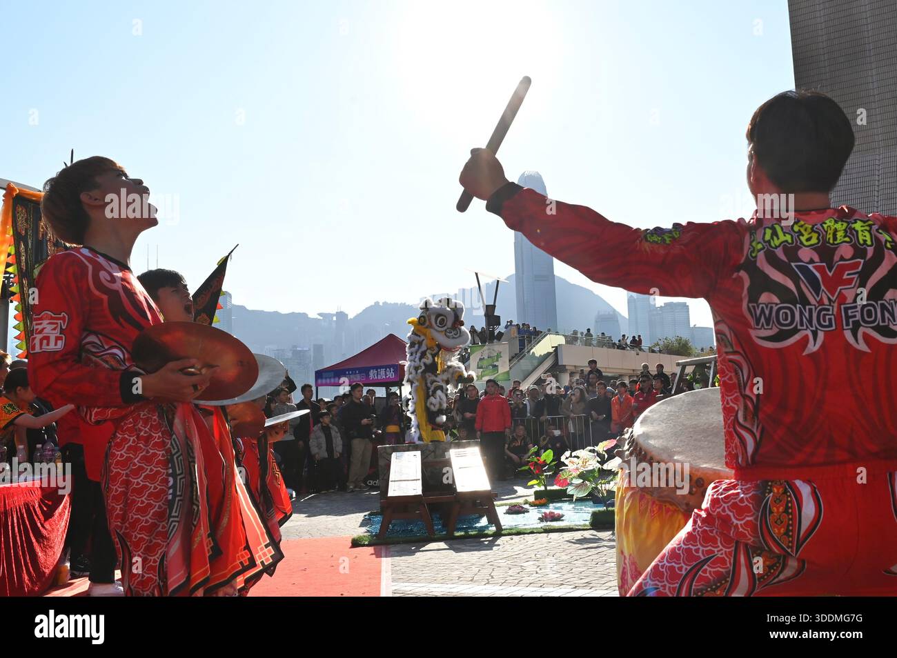 Chinese traditional lion dance competition at Dragon and Lion Dance ...