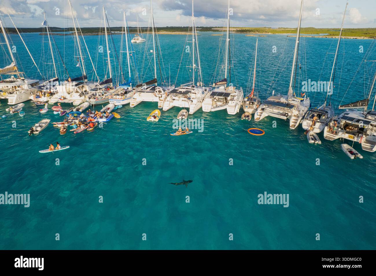 Aerial view of shark and catamarans rafted together in tropical water ...