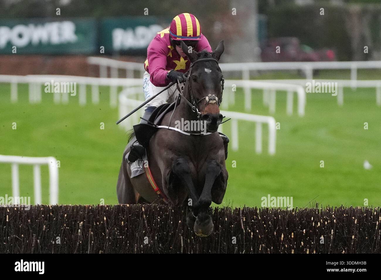 File photo dated 28-12-2025 of Koktail Divin who is likely to take a ...