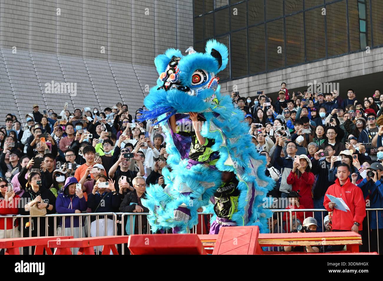 Chinese traditional lion dance competition at Dragon and Lion Dance ...