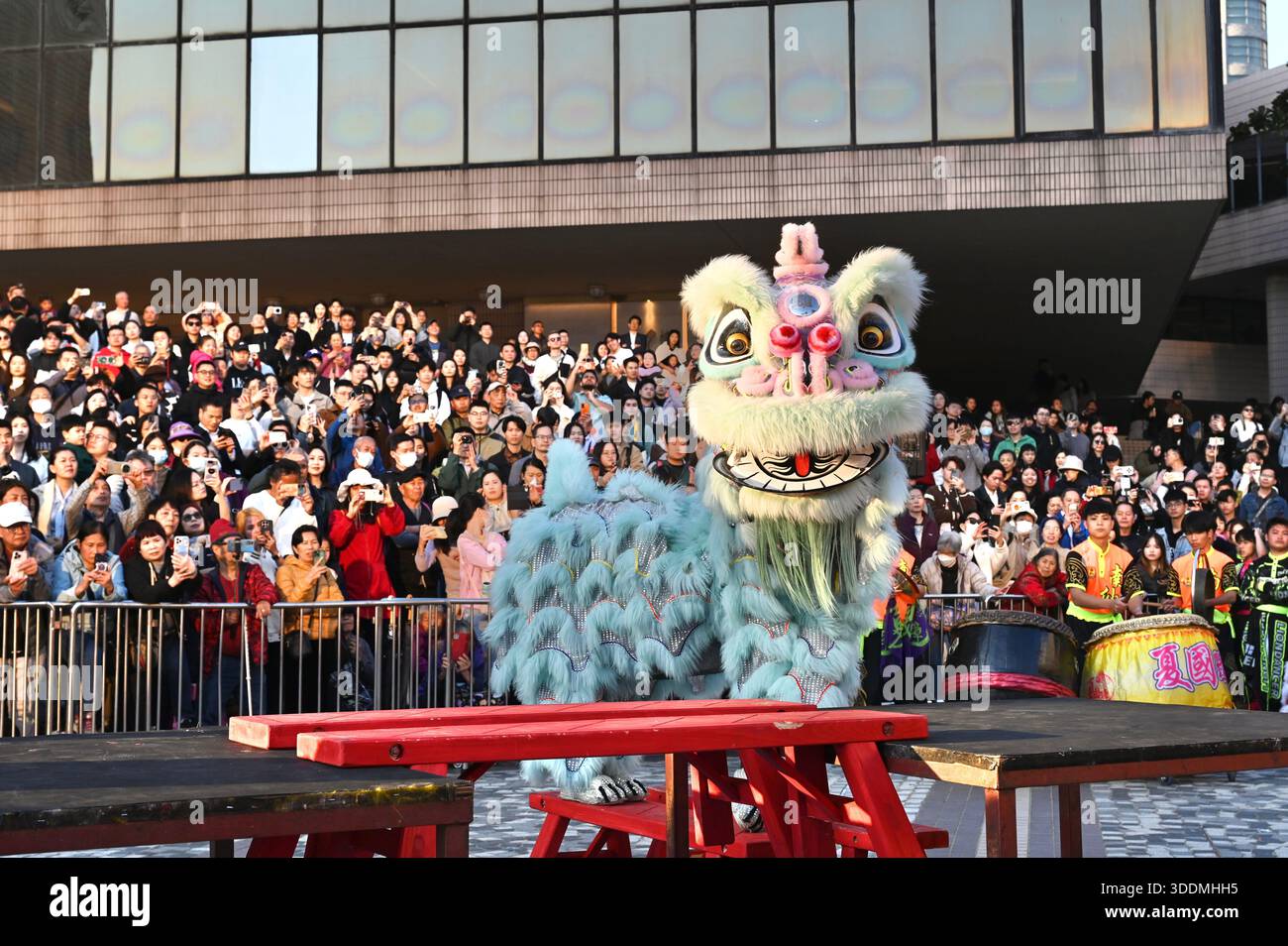 Chinese traditional lion dance competition at Dragon and Lion Dance ...