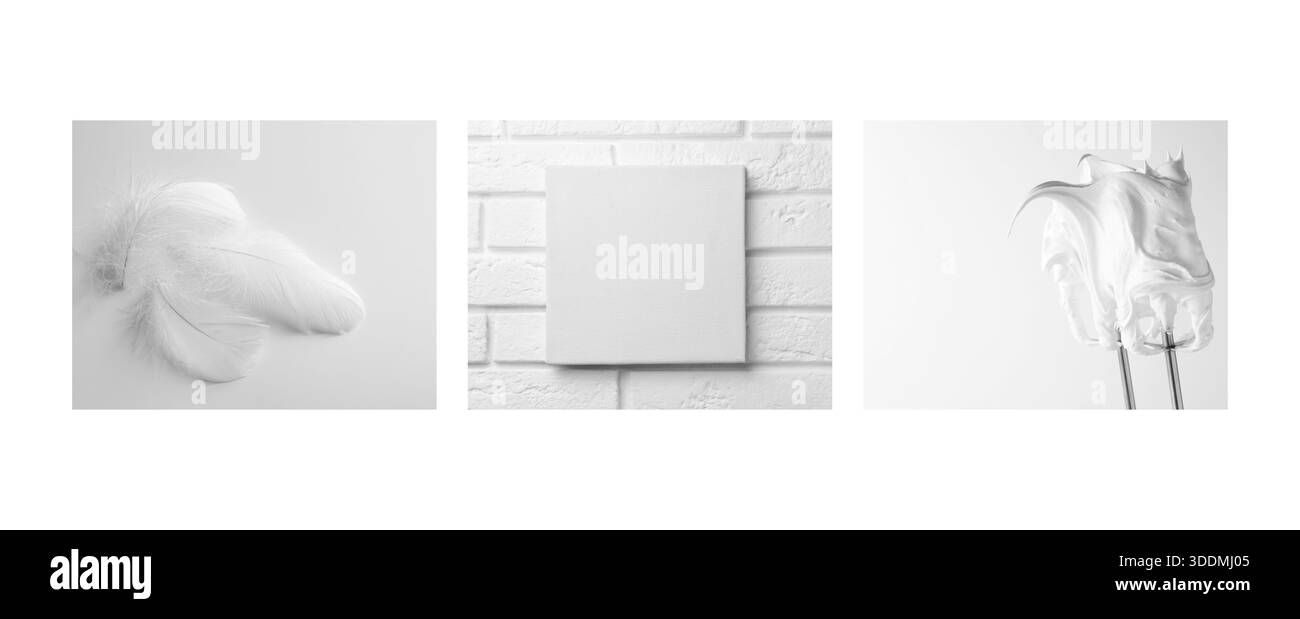 Color of year. Collage with photos in trendy shade on white background ...