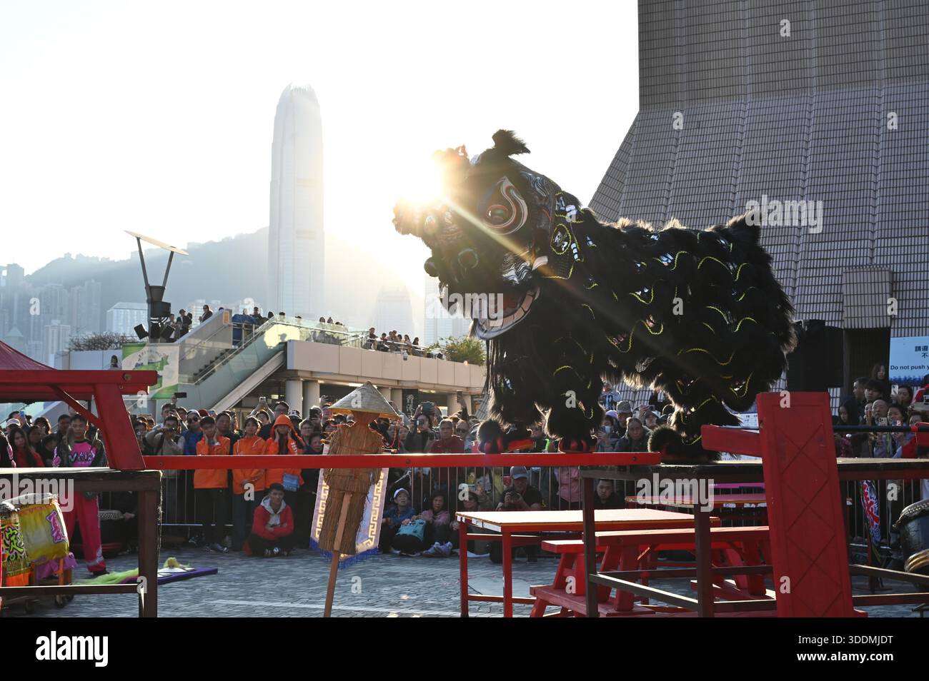 Chinese traditional lion dance competition at Dragon and Lion Dance ...