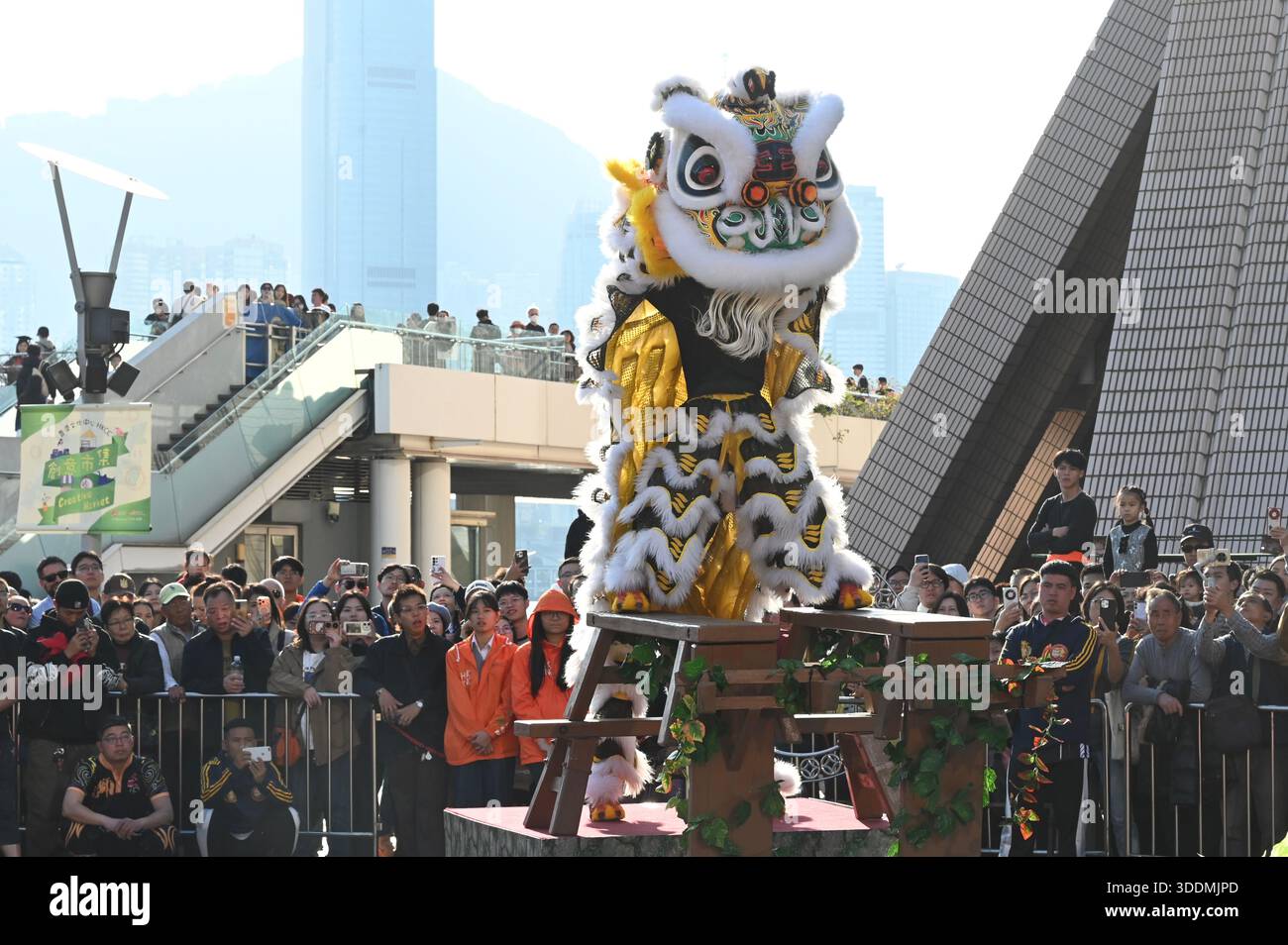 Chinese traditional lion dance competition at Dragon and Lion Dance ...
