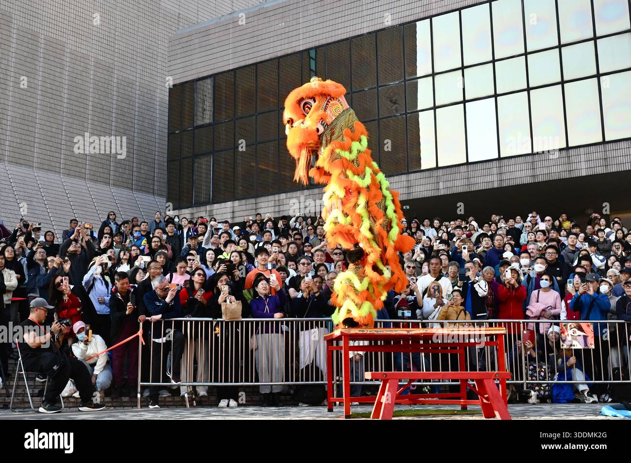 Chinese traditional lion dance competition at Dragon and Lion Dance ...