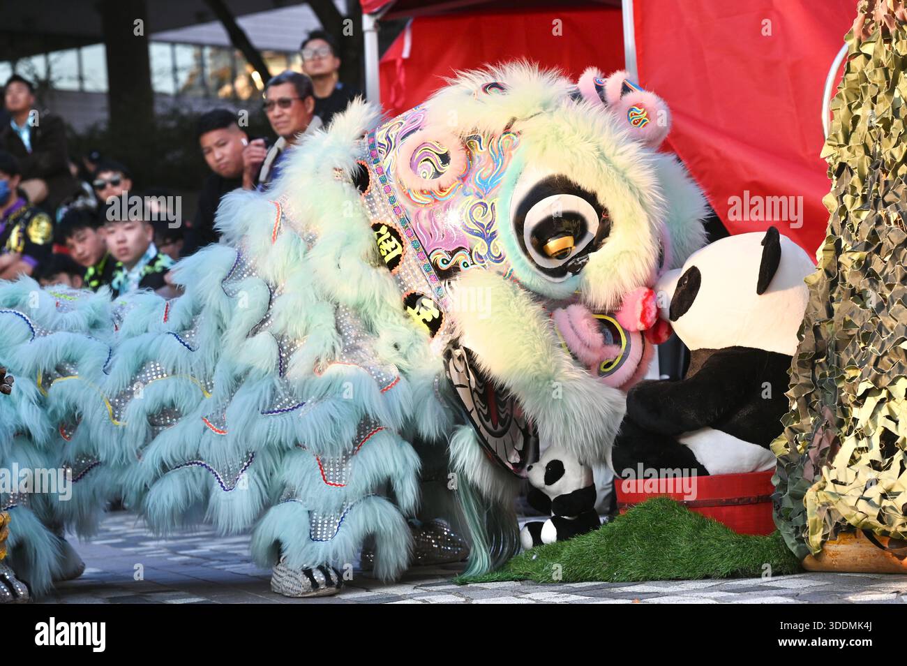 Chinese traditional lion dance competition at Dragon and Lion Dance ...