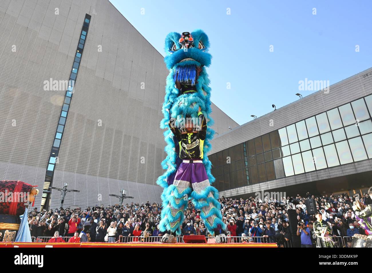 Chinese traditional lion dance competition at Dragon and Lion Dance ...