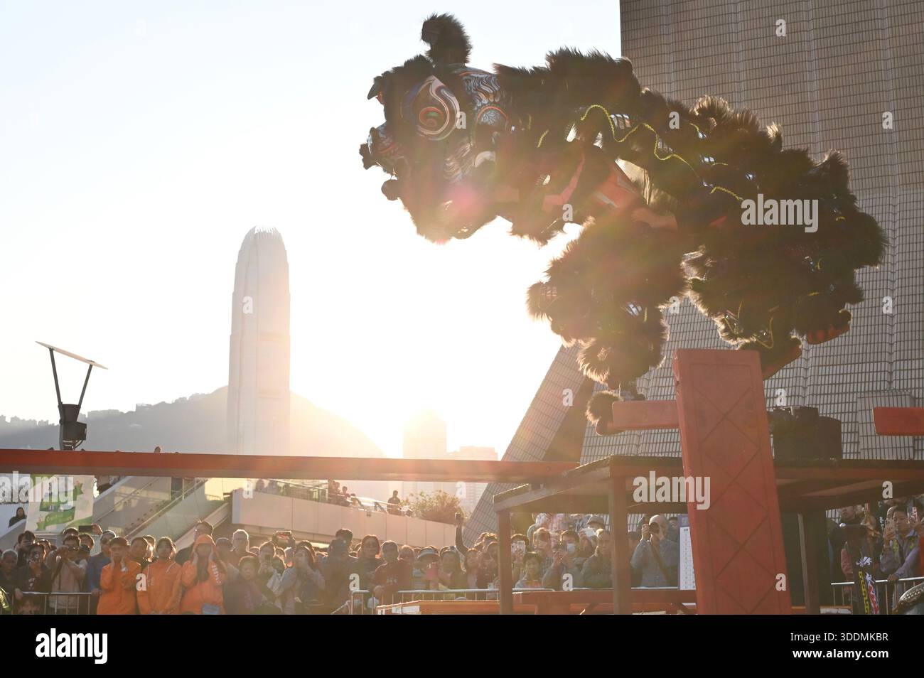 Chinese traditional lion dance competition at Dragon and Lion Dance ...