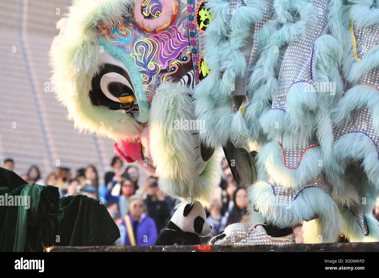 Chinese traditional lion dance competition at Dragon and Lion Dance ...