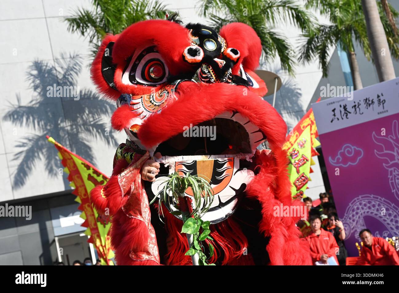 Chinese traditional lion dance competition at Dragon and Lion Dance ...