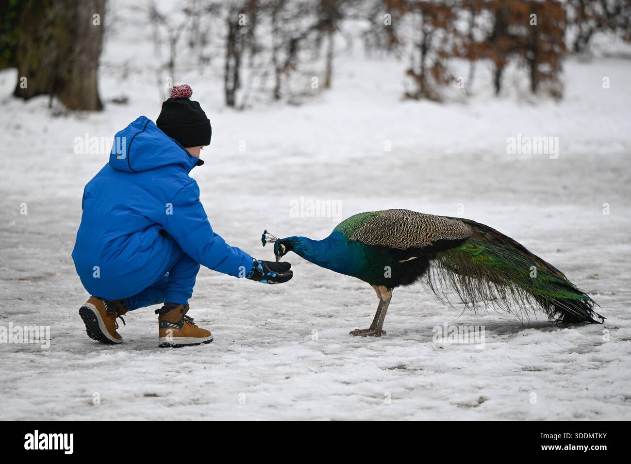 Scenes of the city covered in snow are seen in this file photo taken in ...