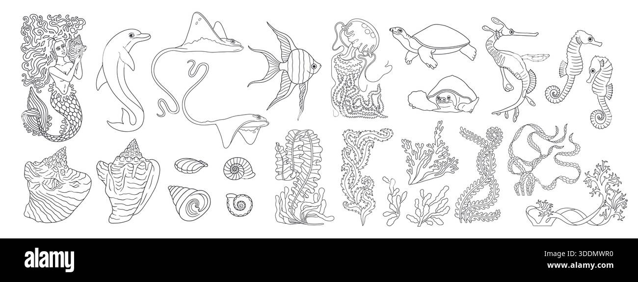 Turtle fish australia Stock Vector Images - Alamy
