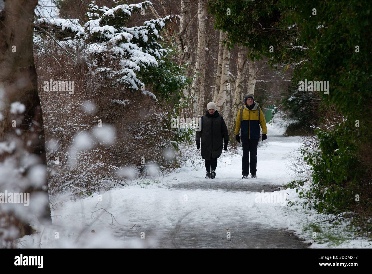 Walkers in the Snow on the Deeside Way footpath cults Aberdeen Scotland ...