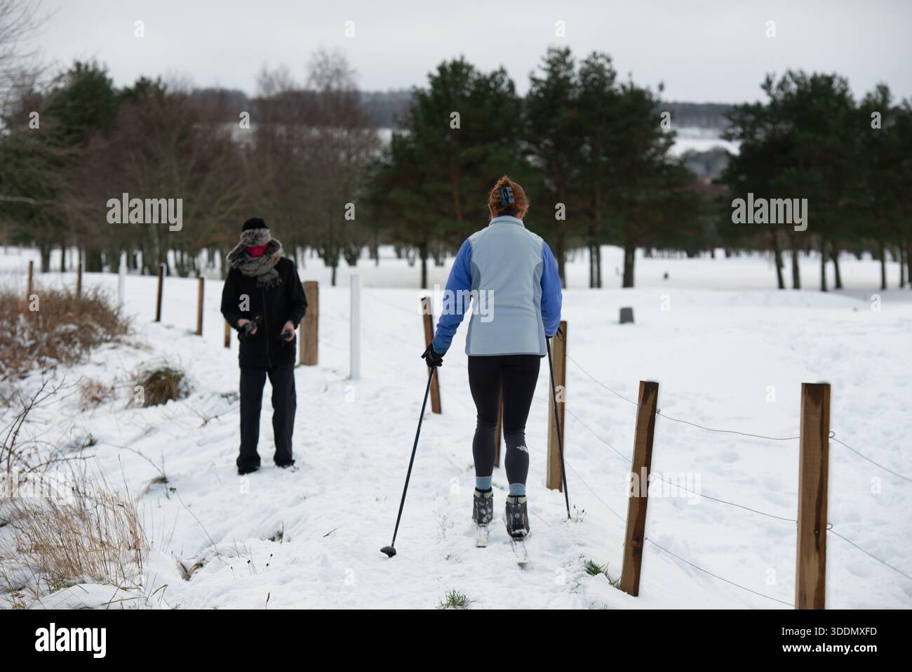 Dog Walkers and skiiing in the Snow by the River Dee Cults Aberdeen ...