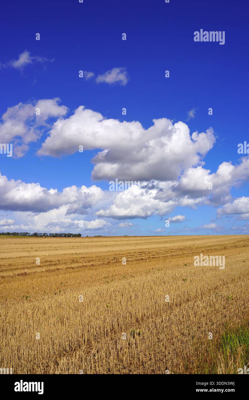 Centenary way autumn hi-res stock photography and images - Alamy