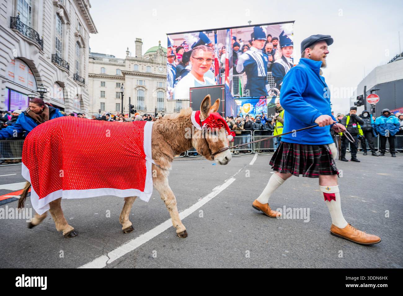 London, UK. 1 Jan 2026. Donkey Breed Society passing the piccadilly ...