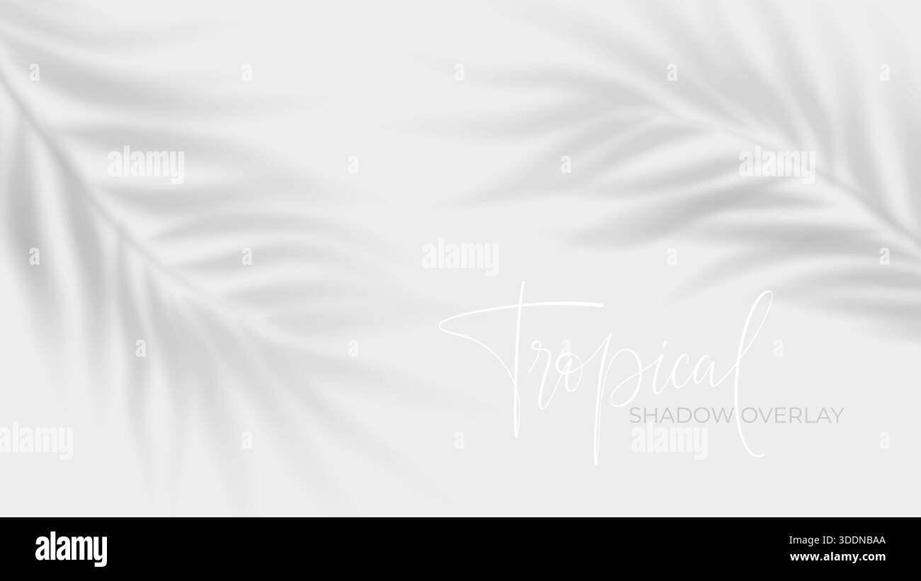 Window shadows plant branches Stock Vector Images - Alamy