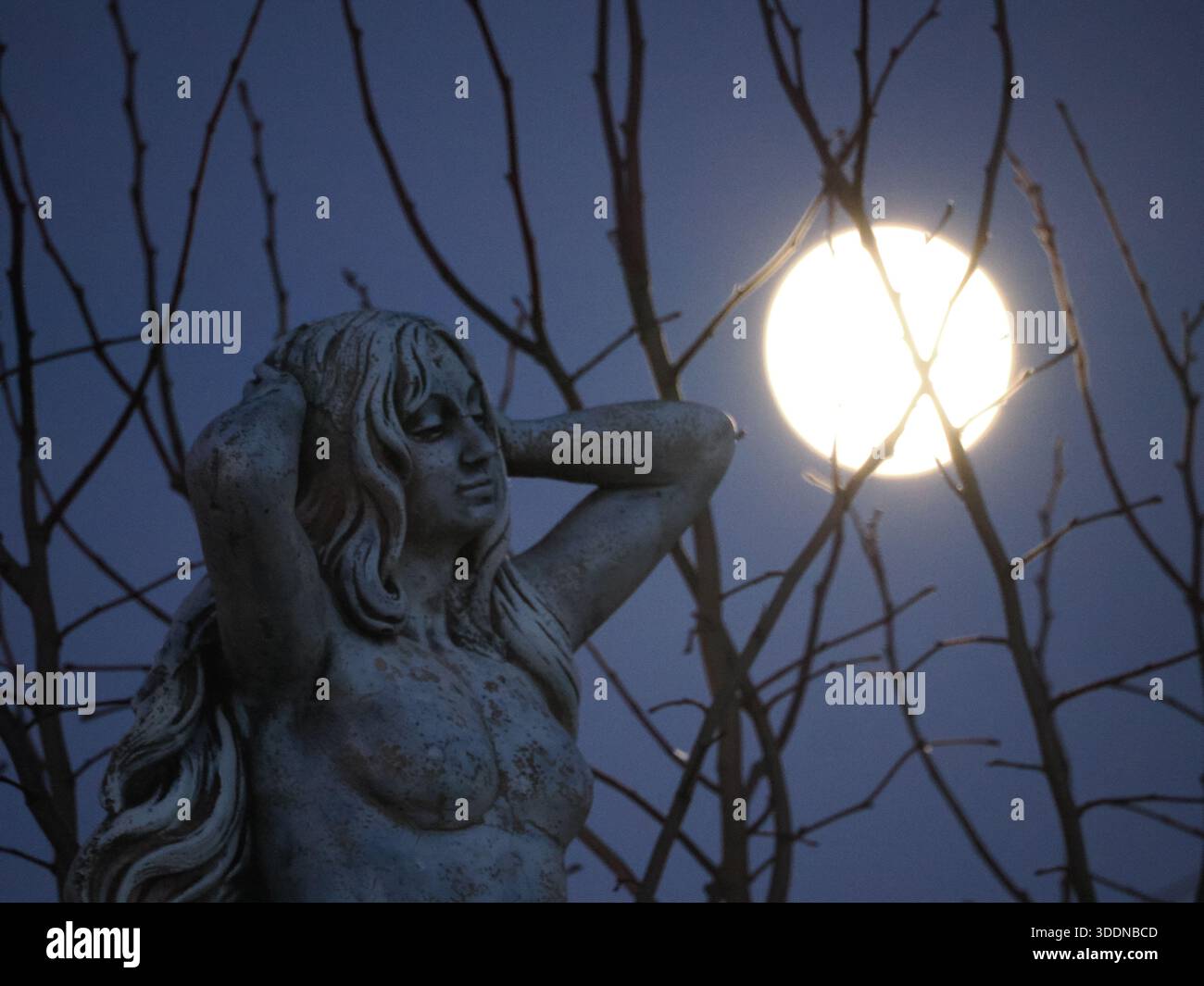 January 2026 uk weather hi-res stock photography and images - Alamy