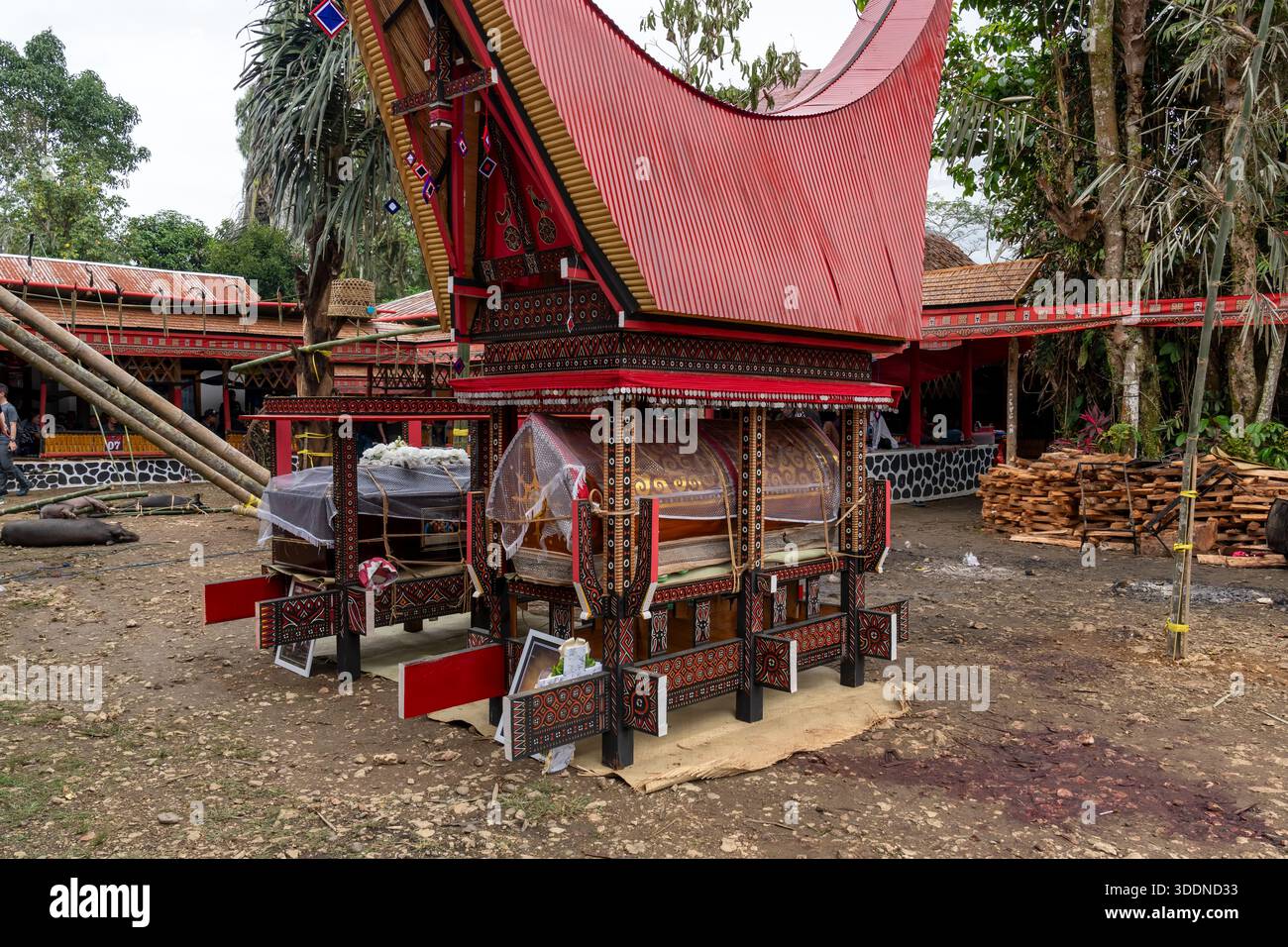 North Toraja Regency, Sulawesi, Indonesia - August 25, 2024: Torajan ...
