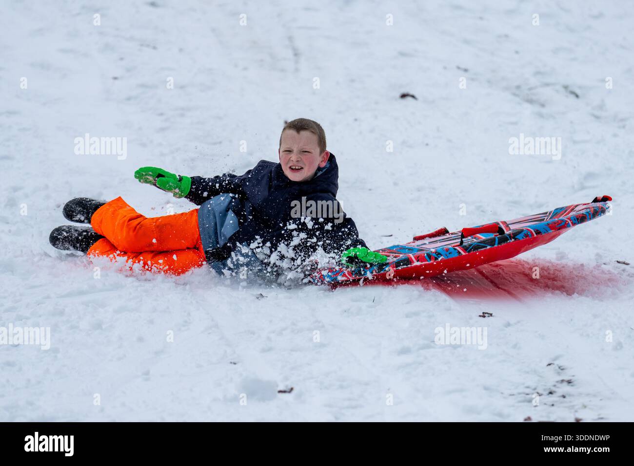 A young boy is sledding down a snowy hill. He wears a black jacket and ...