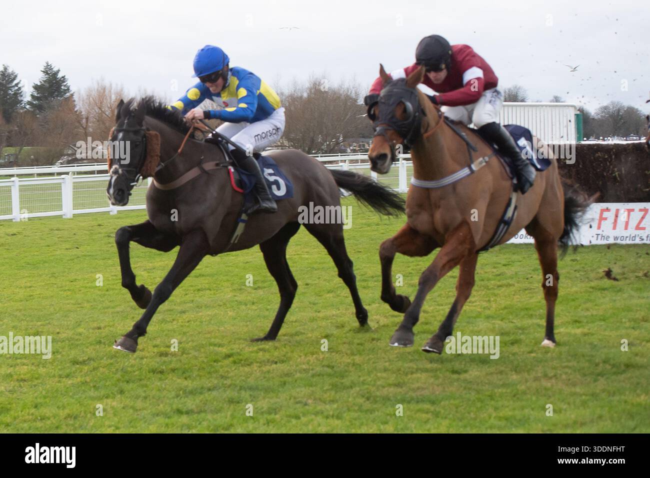 Windsor, Berkshire, UK. 1st January, 2026. Horse TOOTHLESS (L) ridden ...