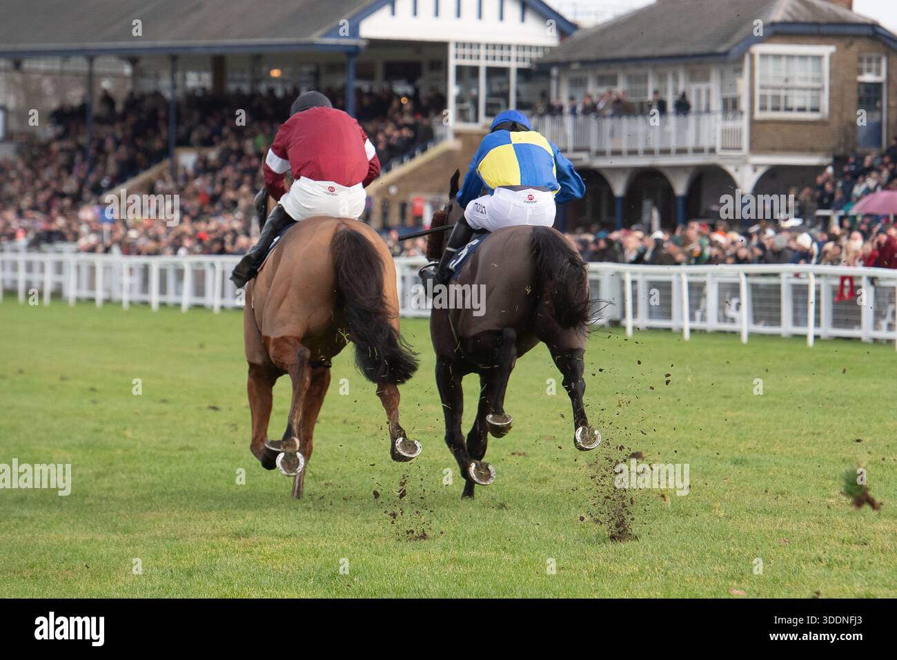 Jay tidball hi-res stock photography and images - Alamy