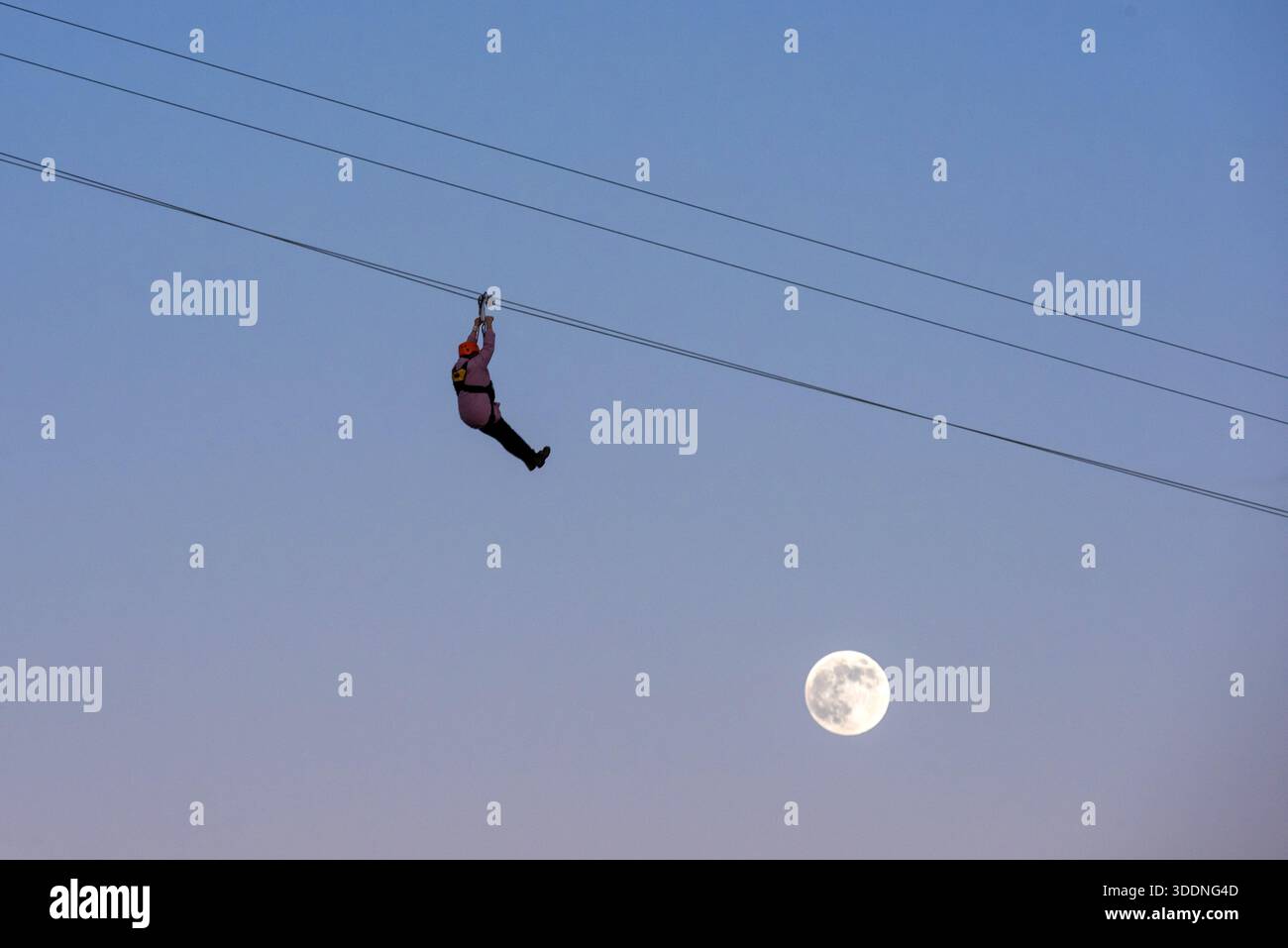 Brighton, January 2nd 2026: A customer on The Brighton Zip passing the ...