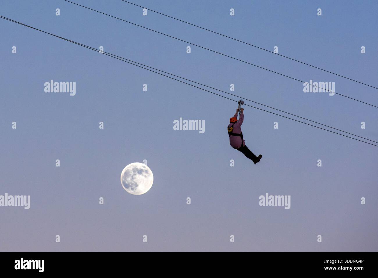 Brighton, January 2nd 2026: A customer on The Brighton Zip passing the ...