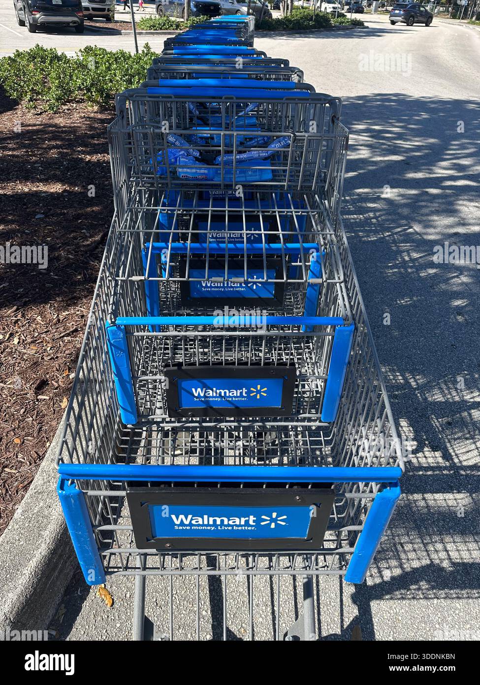 Walmart shopping carts are seen in front of the retail store in ...