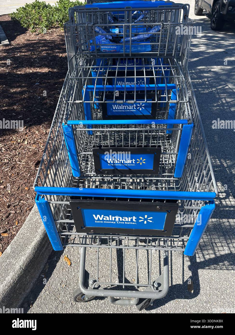 Walmart shopping carts are seen in front of the retail store in ...