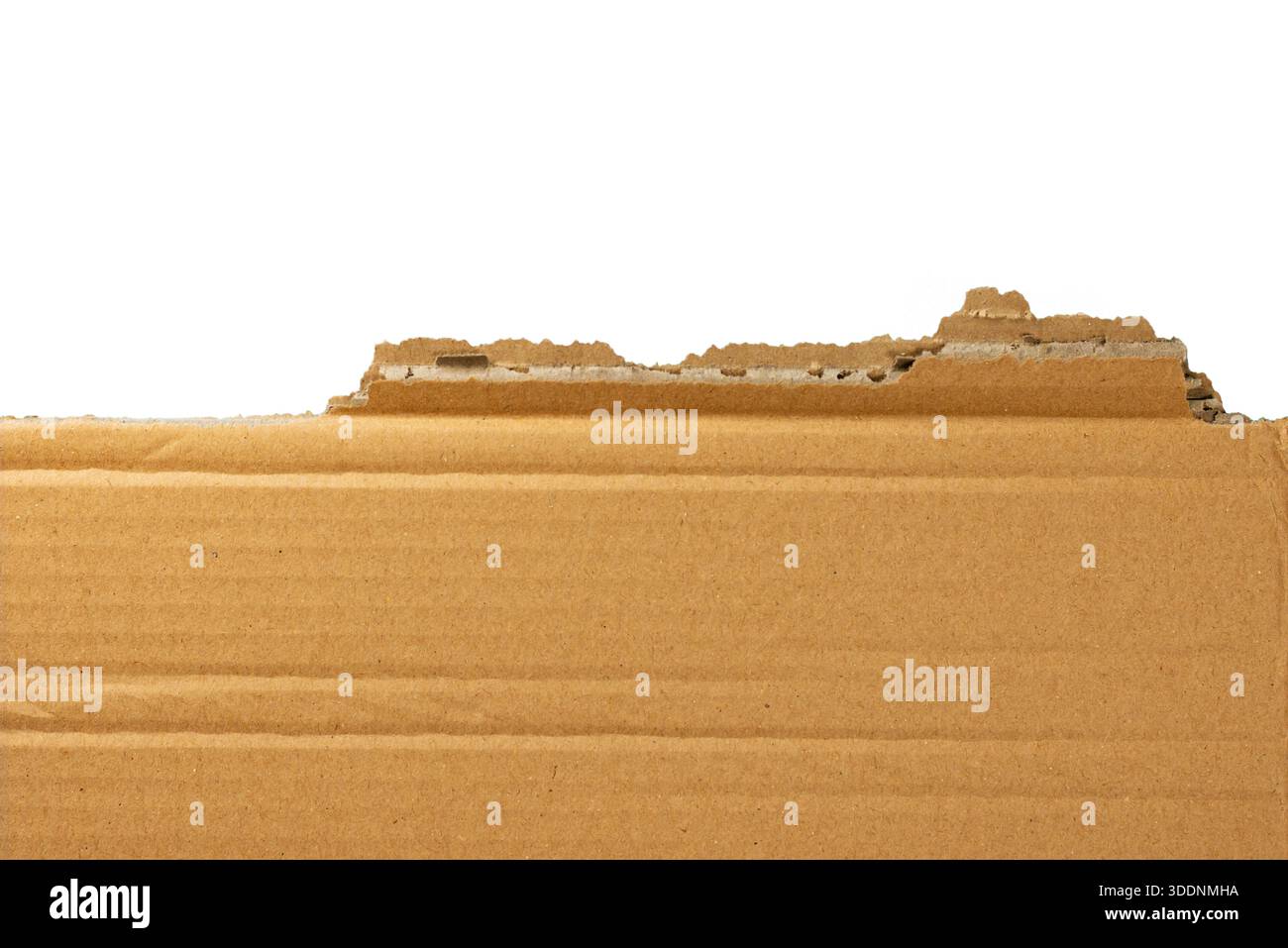 Close-up view of layered corrugated cardboard edge isolated on white ...