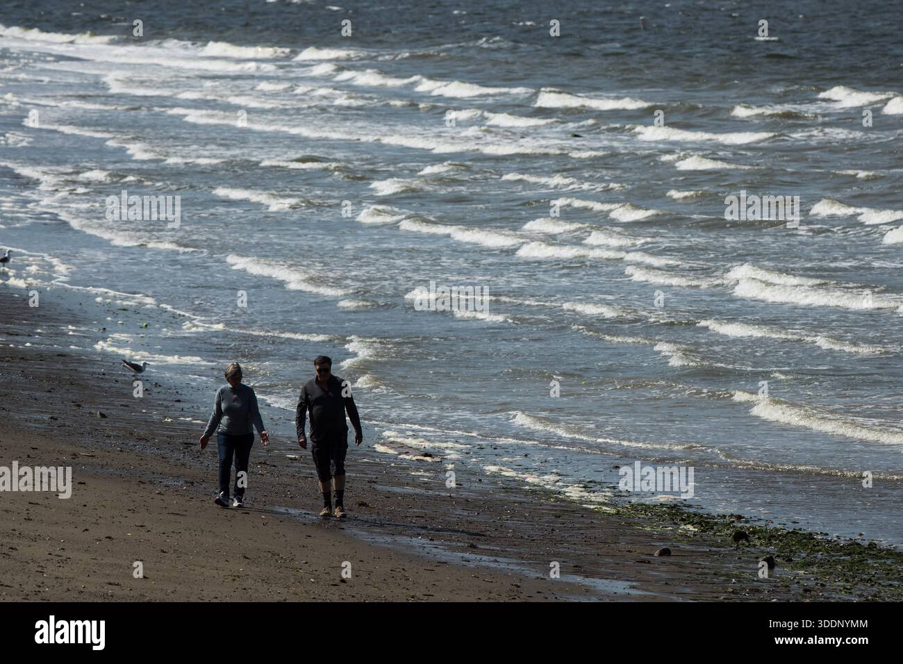 Strong winds whip up waves as a woman and man walk along the beach at ...