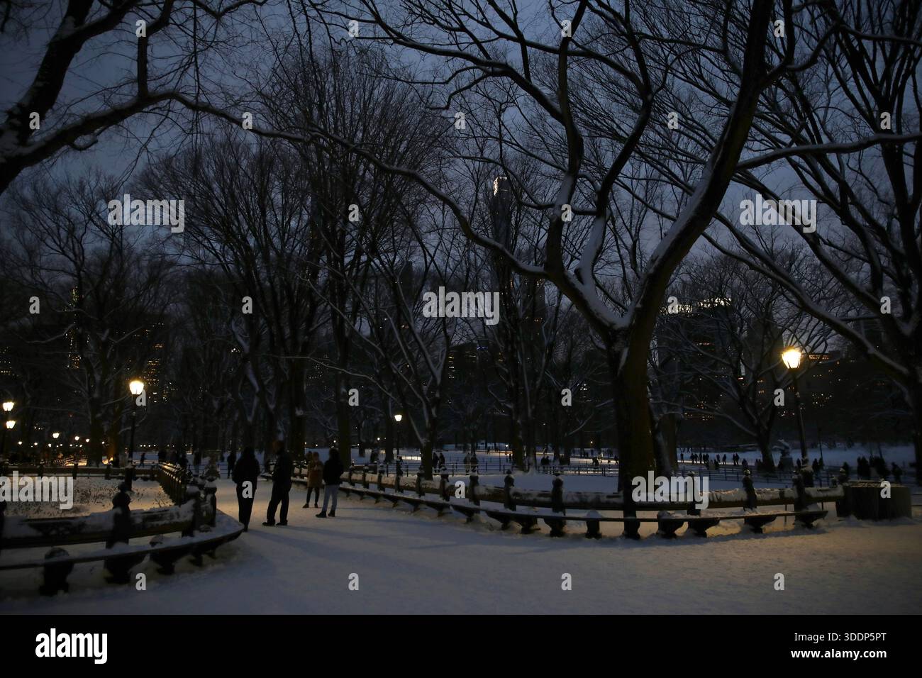 Central Park seen covered with snow in Manhattan, New York. (Photo by ...