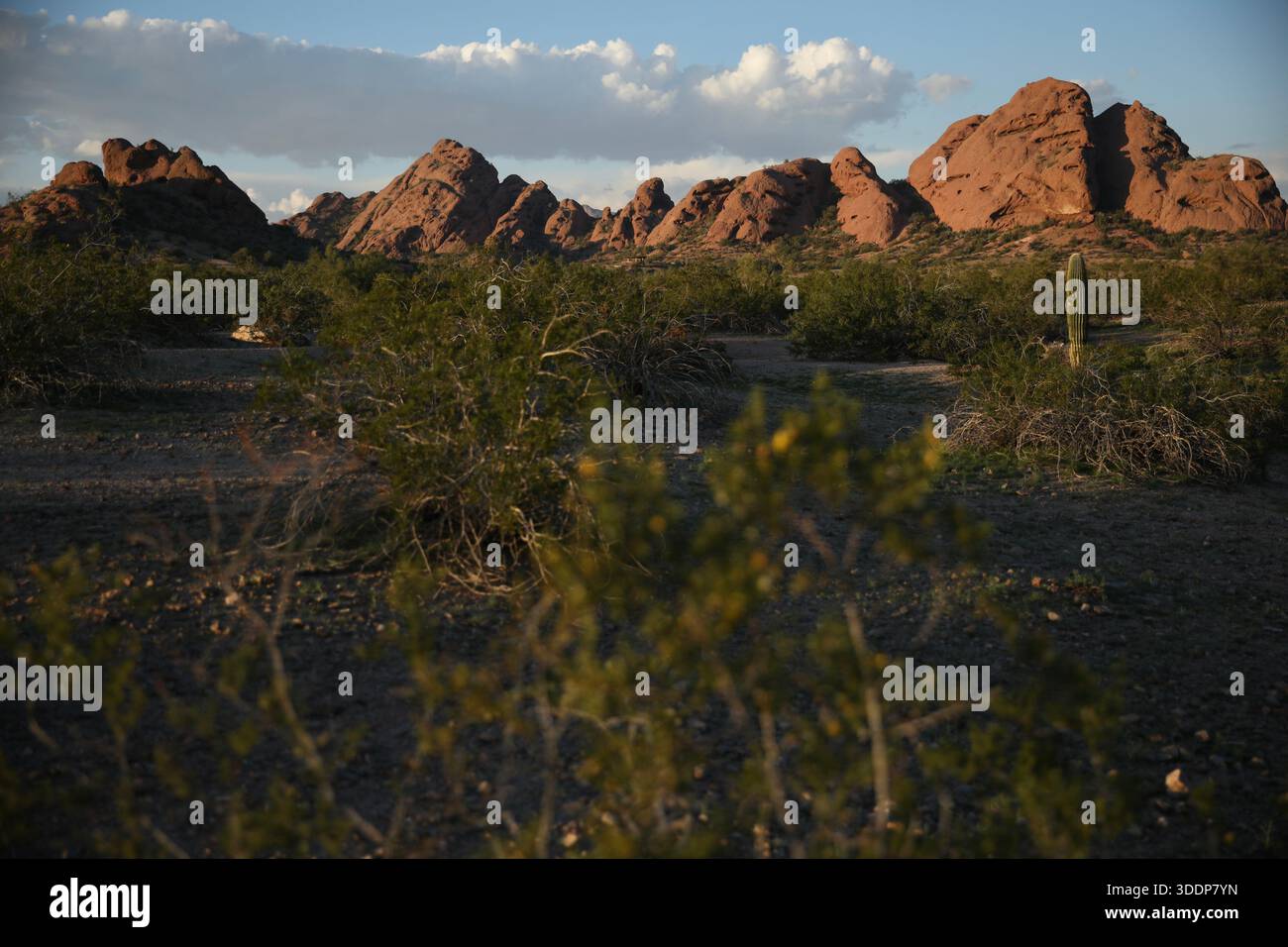 Papago Park, a city park in Phoenix, Arizona. (Photo by Apolline ...