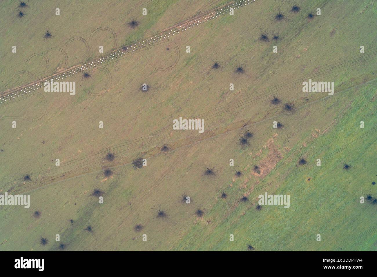 A detailed aerial top view of a military defensive line featuring rows ...