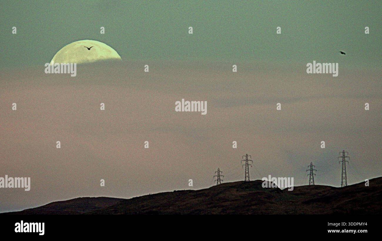 January 2026 uk weather hi-res stock photography and images - Alamy