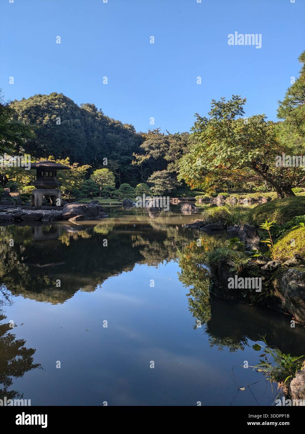 Mirror like reflection in water hi-res stock photography and images - Alamy